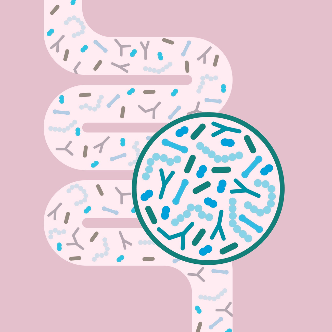 Human Microbiome Database